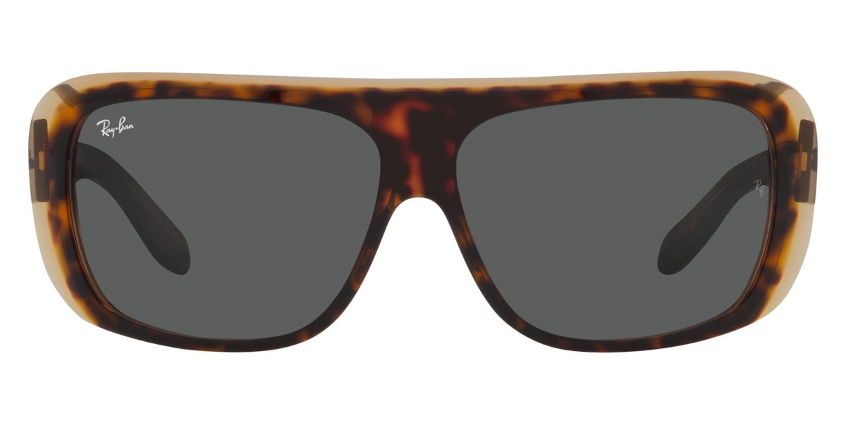 Ray-Ban® Blair RB2196 Pillow Sunglasses - EuroOptica